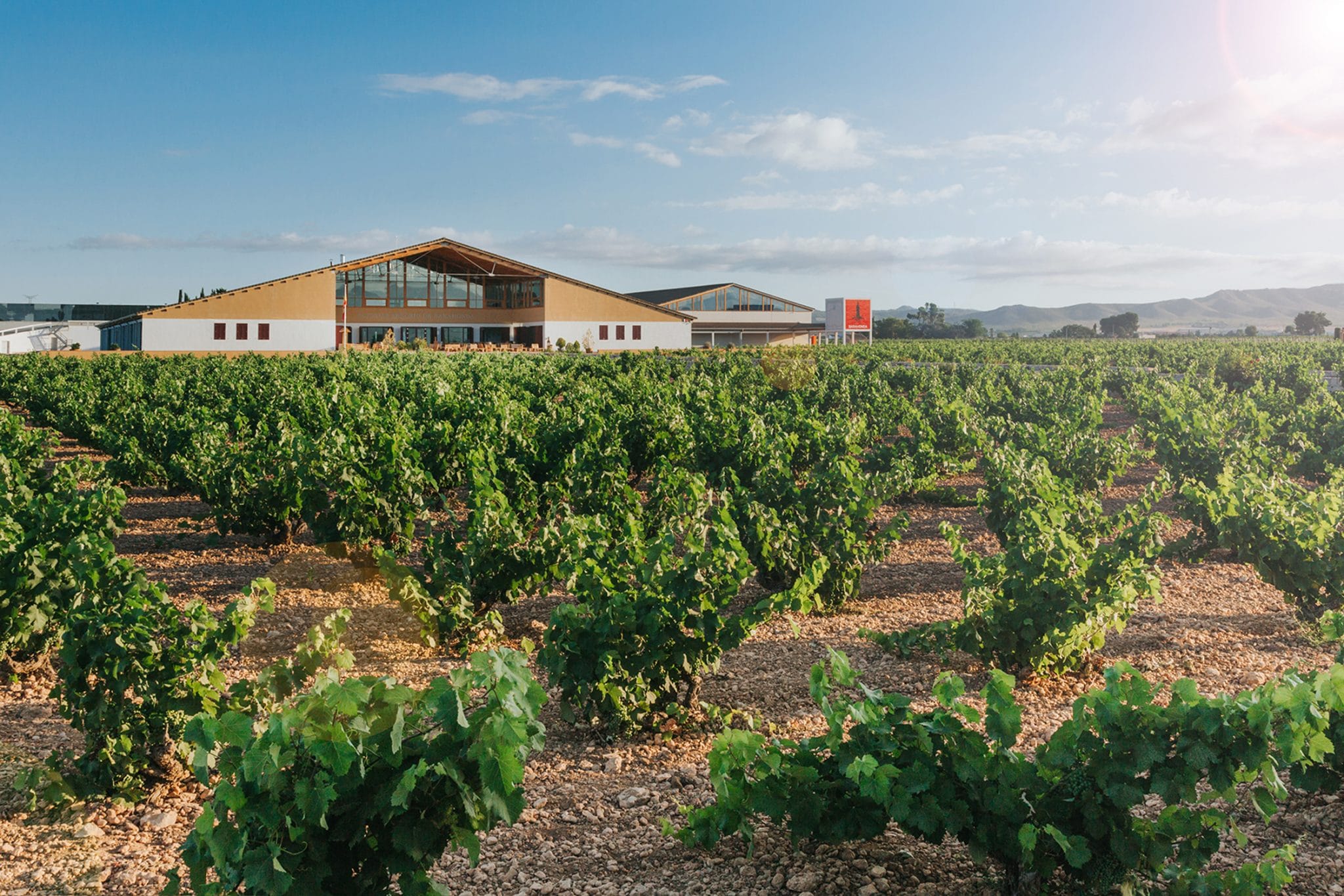 Bodegas Barahonda — From Yecla. From our roots. Unapologetically authentic.